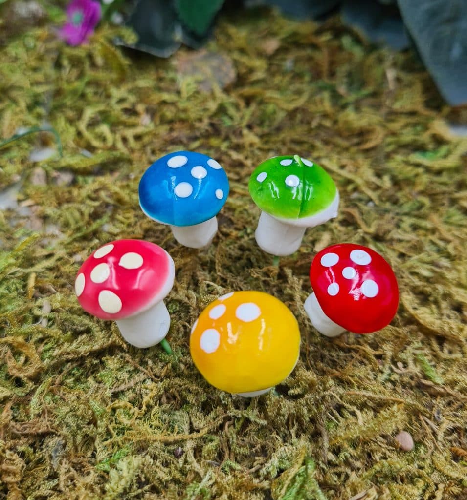 Fairy Garden Mini Mushroom - Fairy Gardens UK